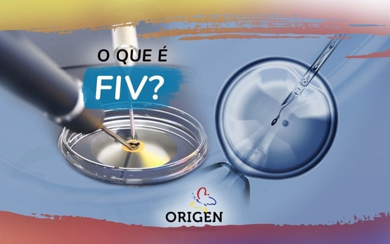 O que é folículo antral? » Clínica Origen | Fertilização in Vitro