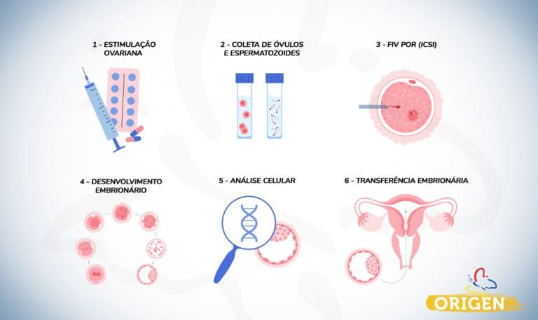 Etapas da FIV: conheça melhor o procedimento » Clínica Origen ...