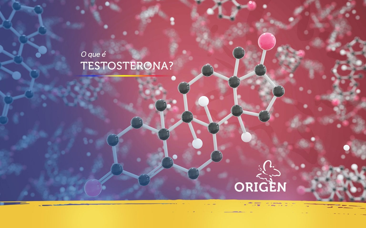 O que é camada serosa ou perimétrio? » Clínica Origen | Fertilização in ...