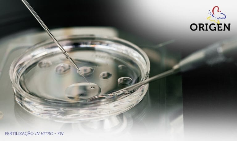 FIV: o que é incubadora? » Clínica Origen | Fertilização in Vitro