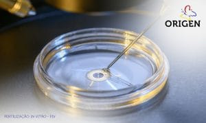 Clivagem do zigoto » Clínica Origen | Fertilização in Vitro