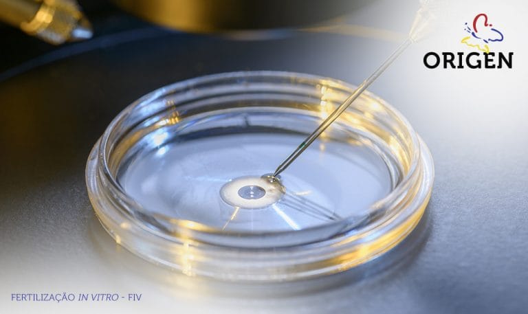 Clivagem do zigoto » Clínica Origen | Fertilização in Vitro